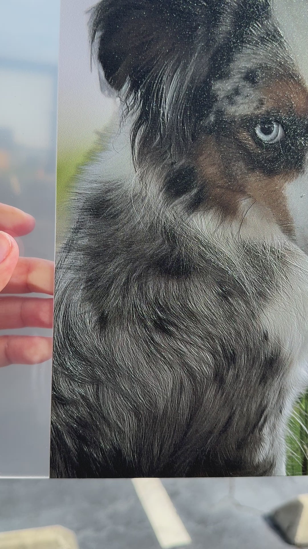 Textured Pet Photo – Off the Wall Creative